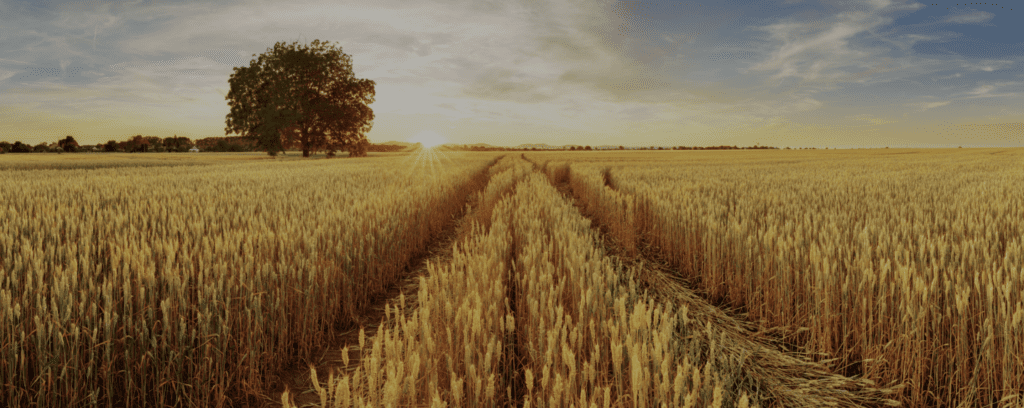 John Deere: A 10,000-Year-Old Industry at the Edge of Connectivity ...